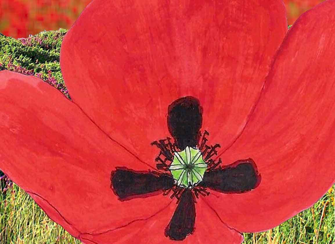 OPIA - ROSEMARIE E. BENSON